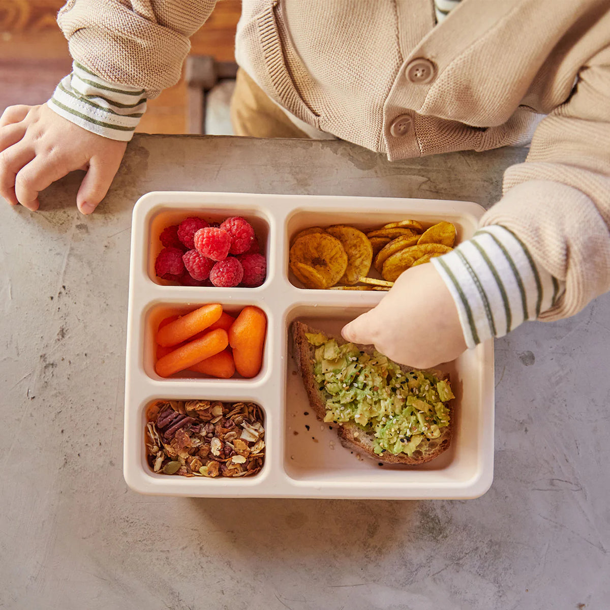 Silicone Bento Box Safari Warm Cream – Pocket Full of Posies